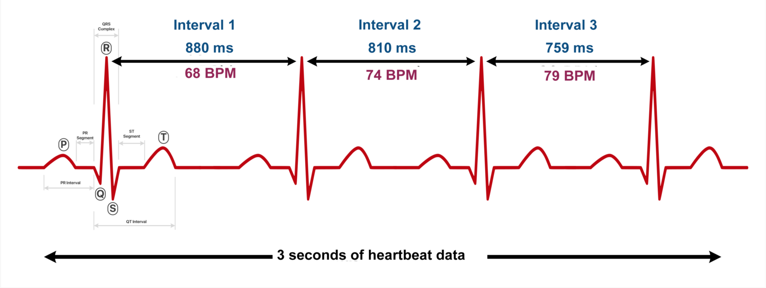 Heart Rate Variability metrics explained - Wellhero