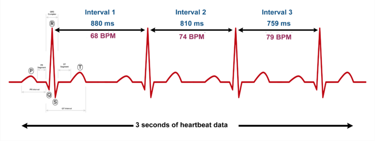 Heart Rate Variability metrics explained - Wellhero